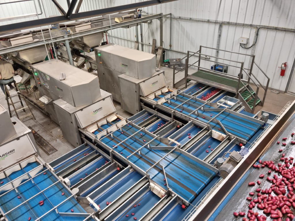 Gewassen aardappelen optisch sorteren - DT Dijkstra