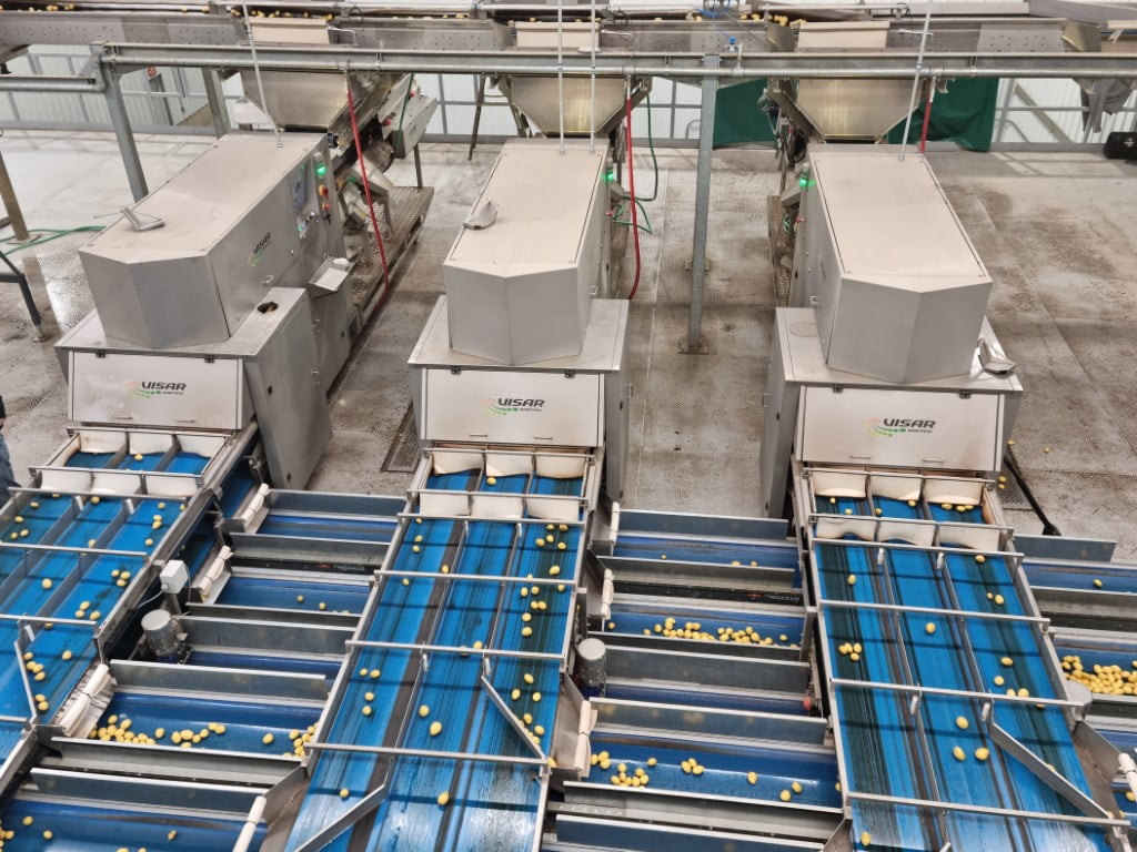 Gewassen aardappelen optisch sorteren - DT Dijkstra